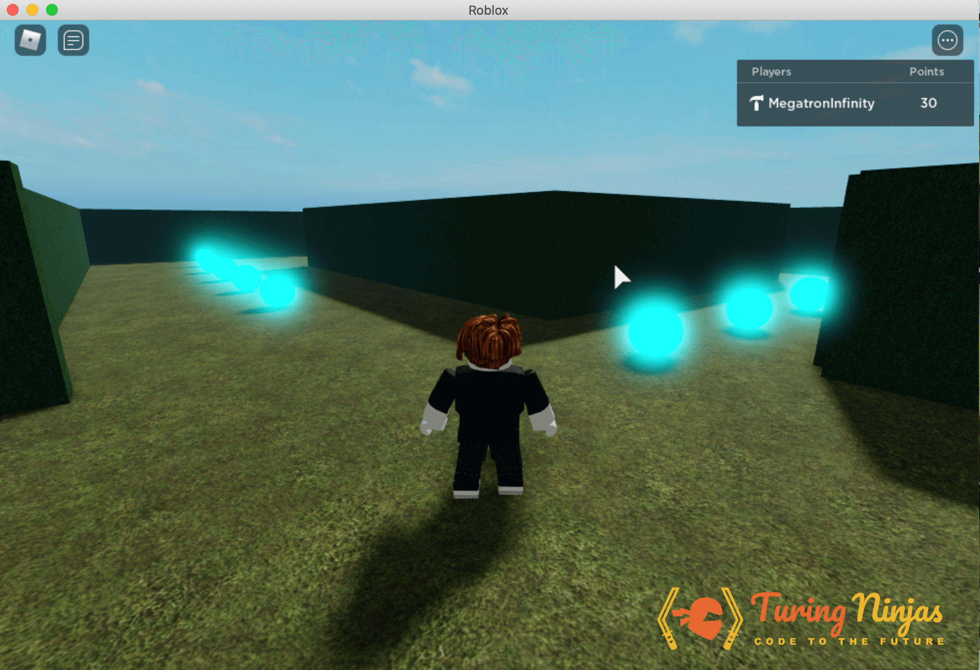 Learn Lua Roblox Game